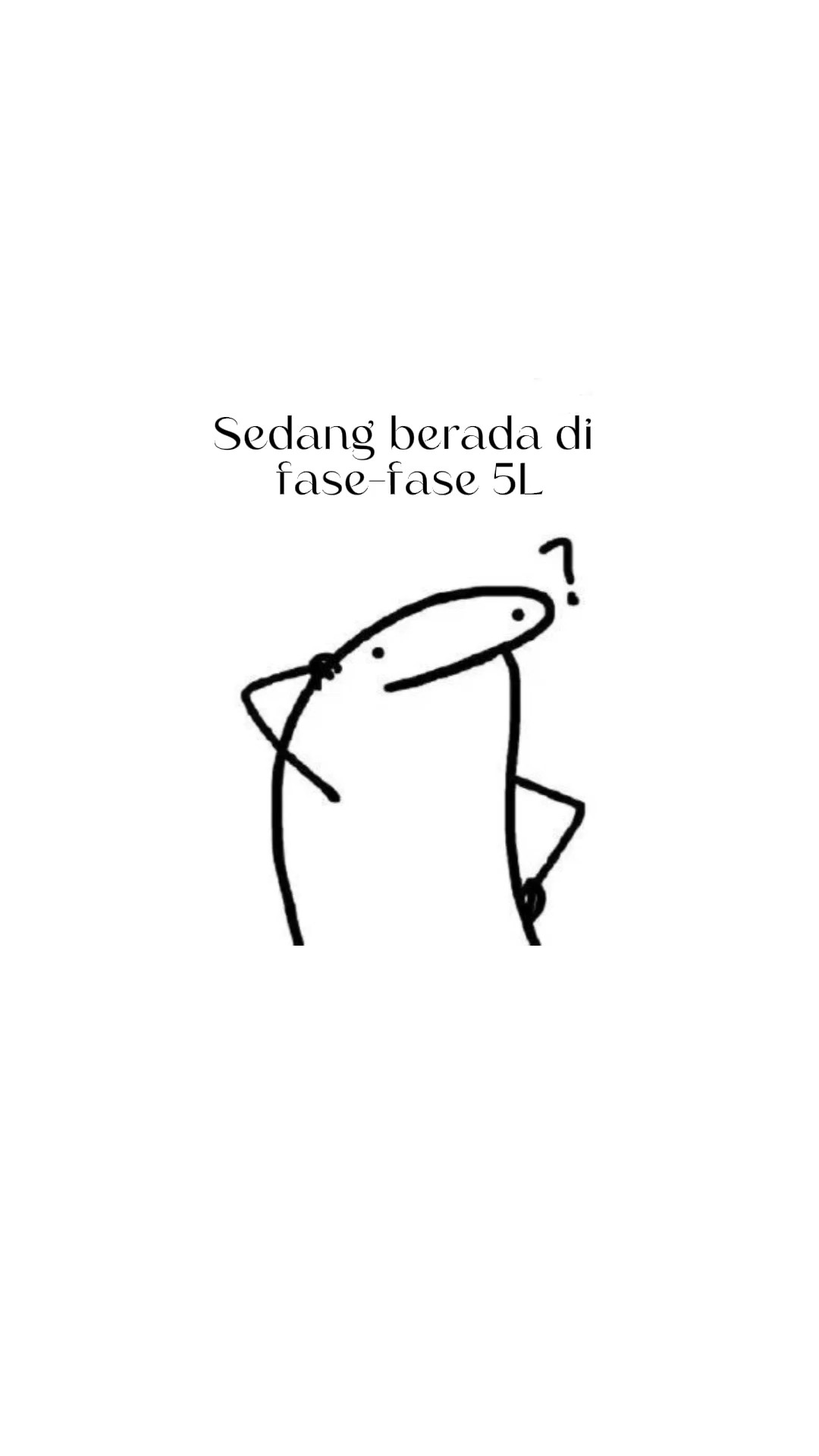 meme fase 5L - CapCut