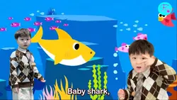 Funny Shark: Discover Hilarious Shark Memes & Videos Online