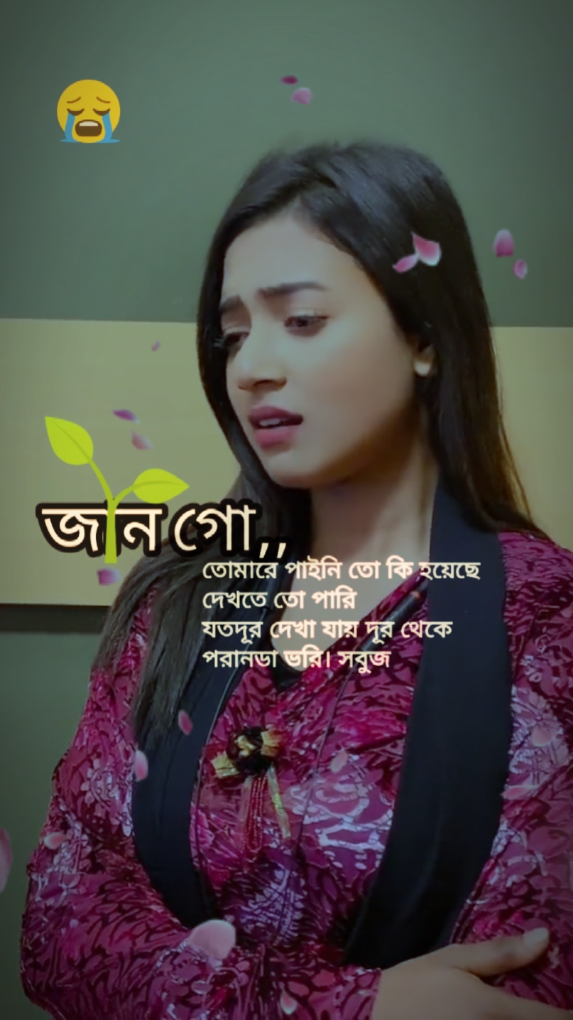 না পাওয়ারি মাঝে আছে - CapCut