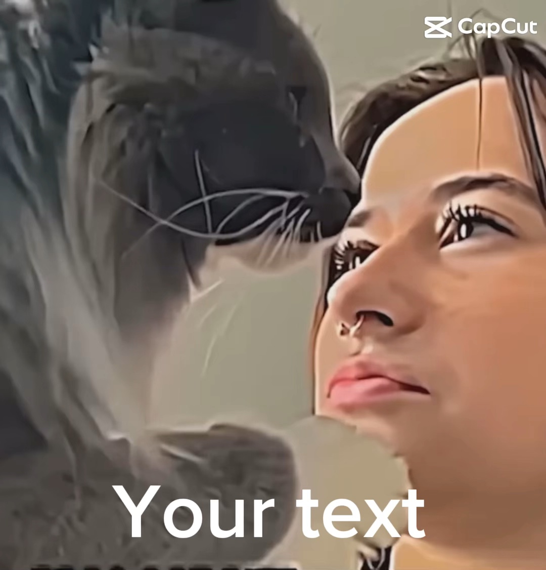 Rizz meme - video template by CapCut