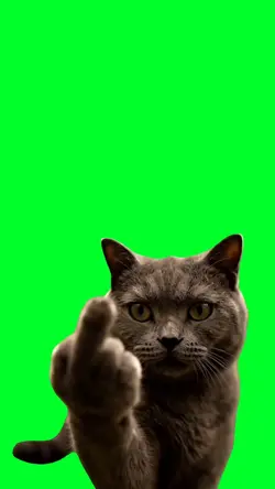 Middle Finger Meme: Discover the Best Viral Memes Online