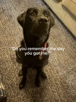 Remember Them Days: Relive Your Favorite Memories – CapCut AI Tools