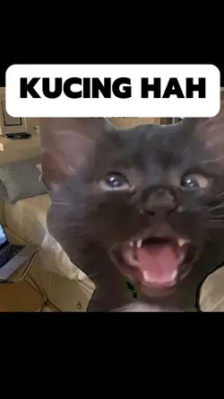 Huh Meme: Discover Top Viral Moments Online Now