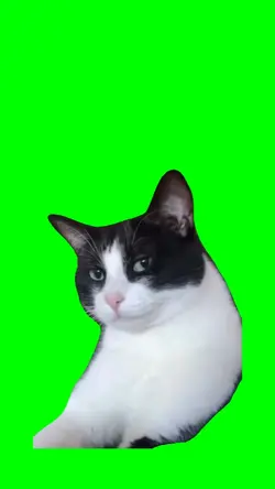 Forest Live Wallpaper: Enhance Your Screen with Nature Views