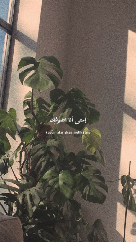 arab aesthetic - CapCut