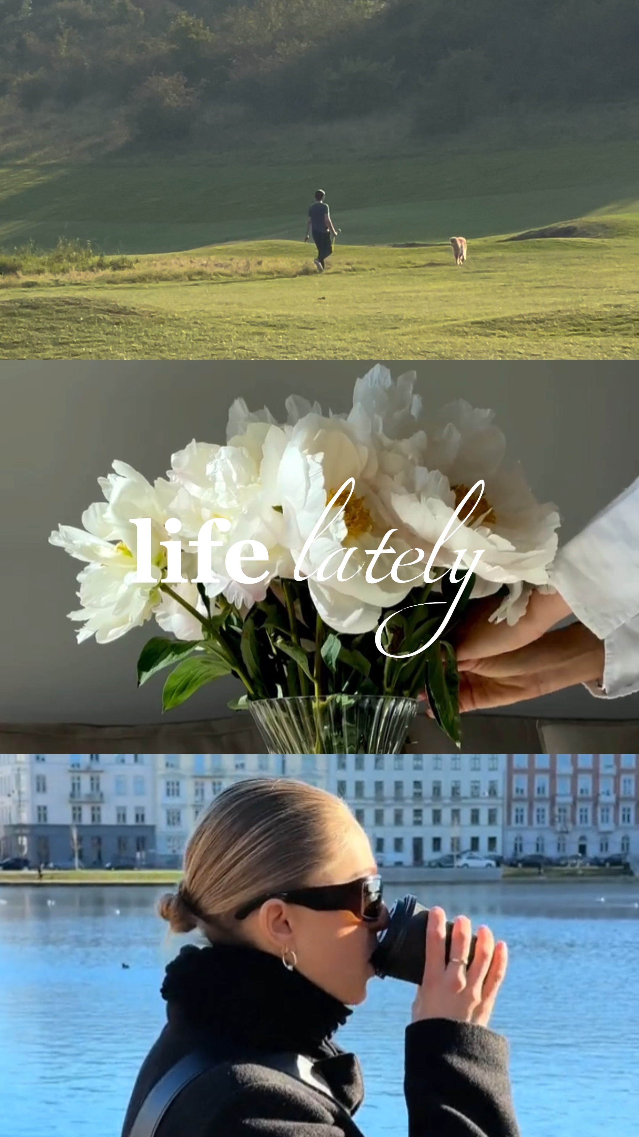 Spring waking up - video template by CapCut