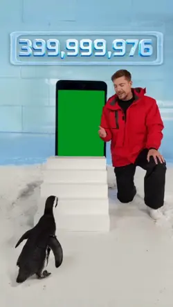 Best Green Screen for Streaming: Top Choices & Buying Guide