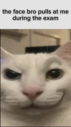 Ugly Cat Meme: Discover the Funniest Viral Felines Online