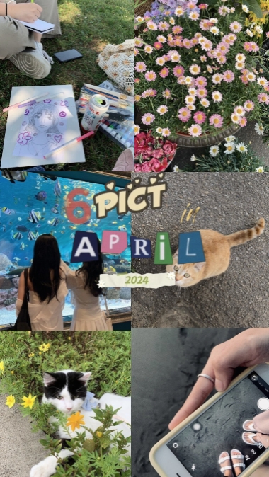 6 pict april - CapCut