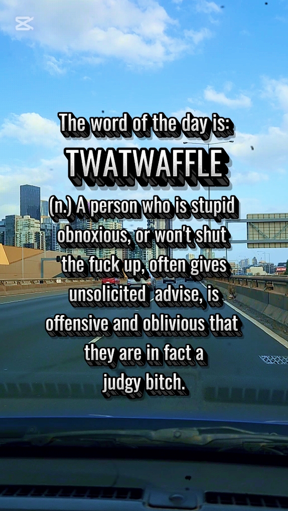 TWATWAFFLE - video template by CapCut