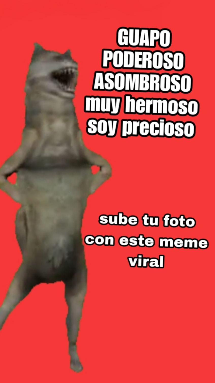 Guapo poderoso Meme - plantilla CapCut