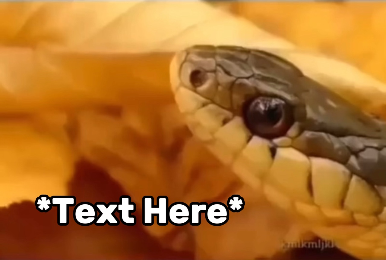 Goofy ah snake meme - video template by CapCut