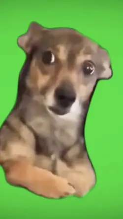 Side Eye Chloe Meme – Discover Meaning & Origin | CapCut - AI Tools