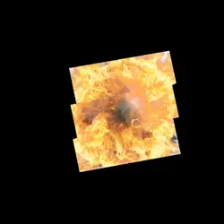 Poop Meme: Discover the Funniest Poop Memes Online Today