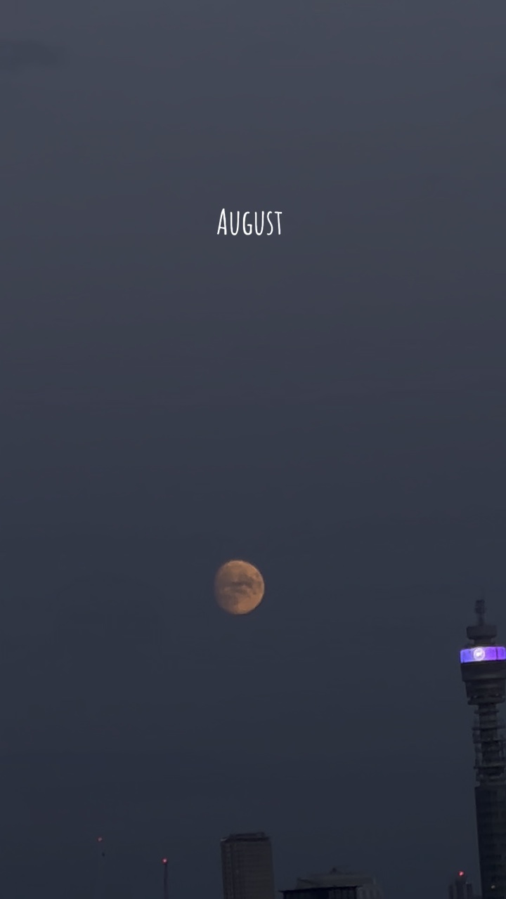 August dump - CapCut