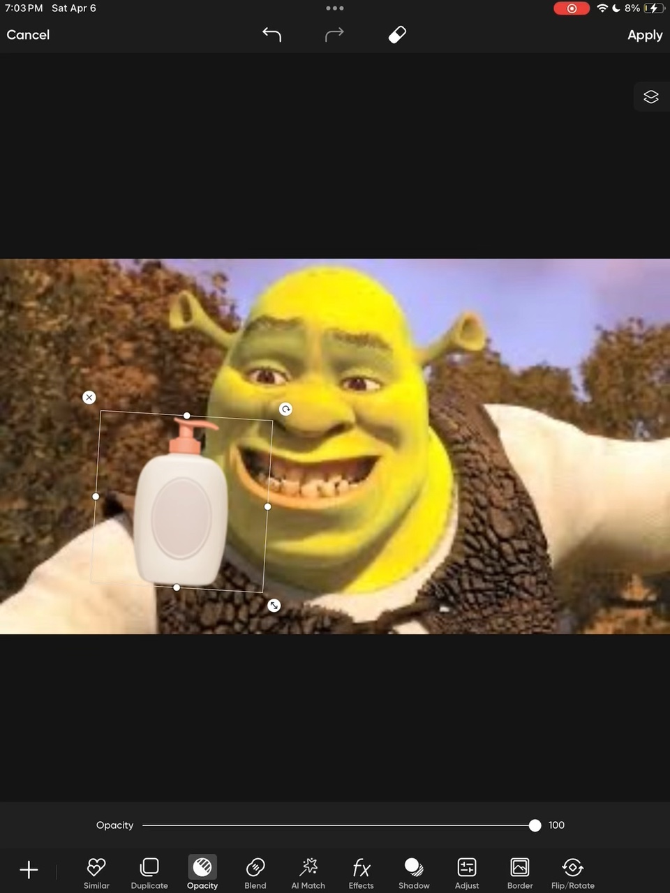 SHREK TRANSFORMATION - video template by CapCut