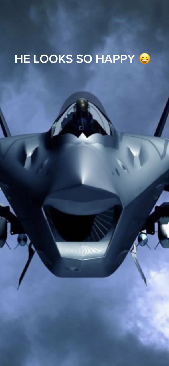 Goofy Aircraft - video template by CapCut