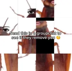 Cockroach Meme: Discover the Funniest Roach Memes Online
